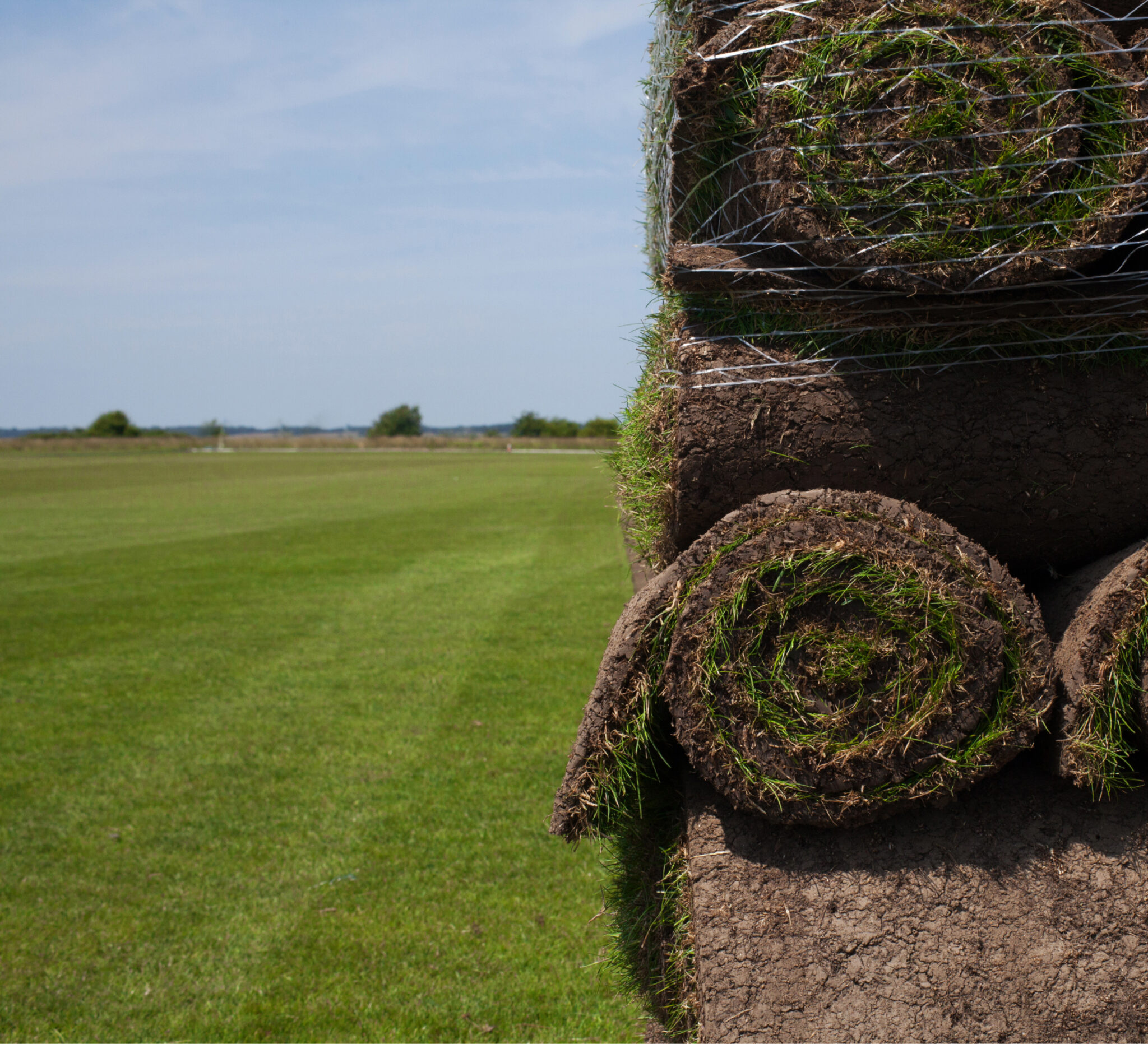 Grasslands Turf | Leading Turf Growers | Buy Turf Online