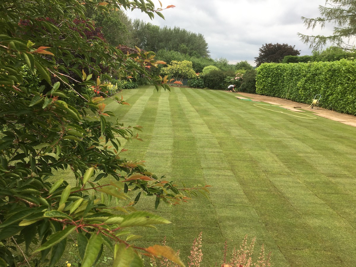 Turf Laying Guide from the experts at Grasslands Turf : Grasslands